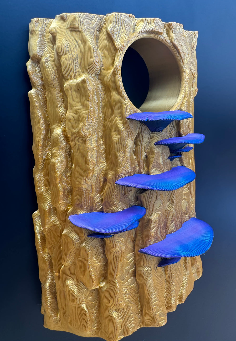 Universal Treehouse Background for Jumping Spider Enclosures – Georgia ...