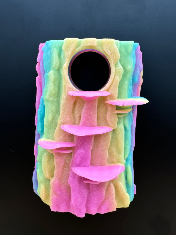 Universal Treehouse Background for Jumping Spider Enclosures – Georgia ...